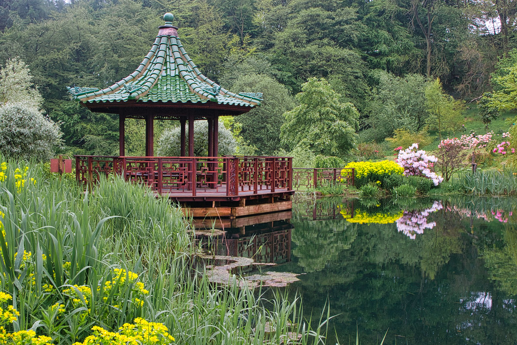 Himalayan Garden and Sculpture Park, nr Ripon - Darlington